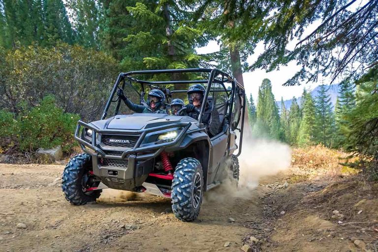 Best Grand Canyon Tours from Williams & South Rim