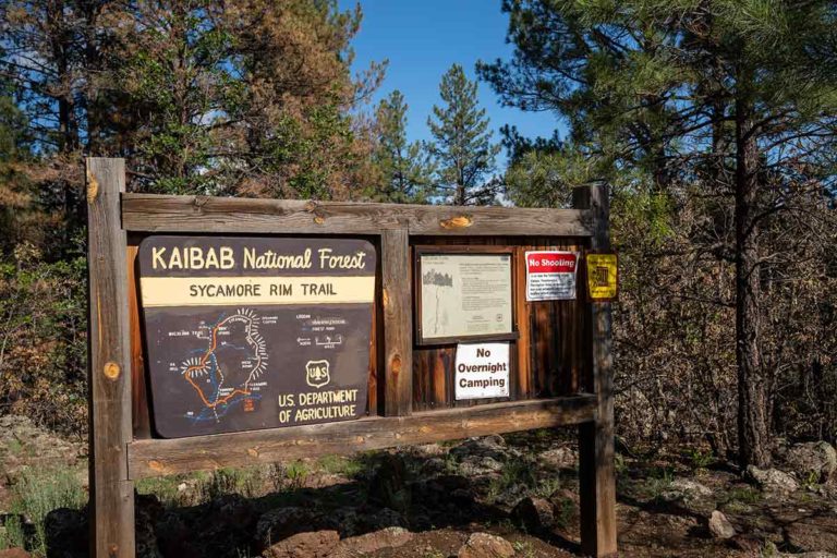 7 Hikes in Williams Arizona: Guide to the Best Trails