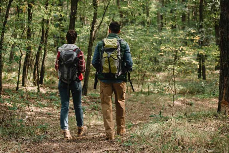 7 Hikes in Williams Arizona: Guide to the Best Trails